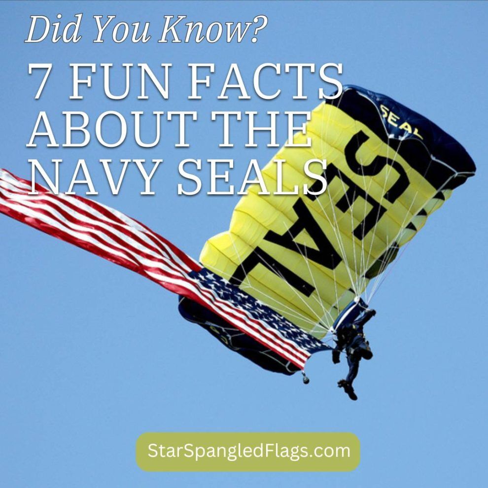 Did you know? 7 fun facts about the Navy SEALs - StarSpangledFlags.com