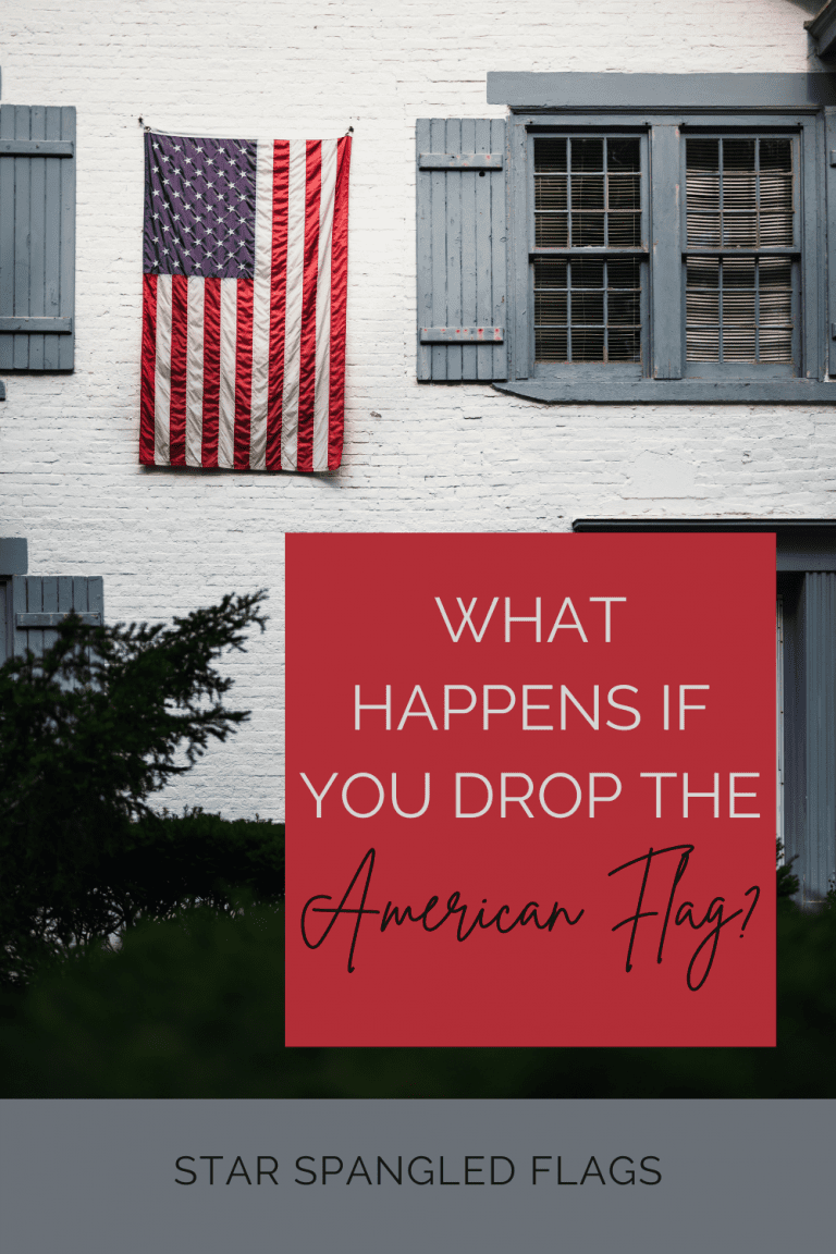 What happens if you drop the American flag or it touches the ground ...